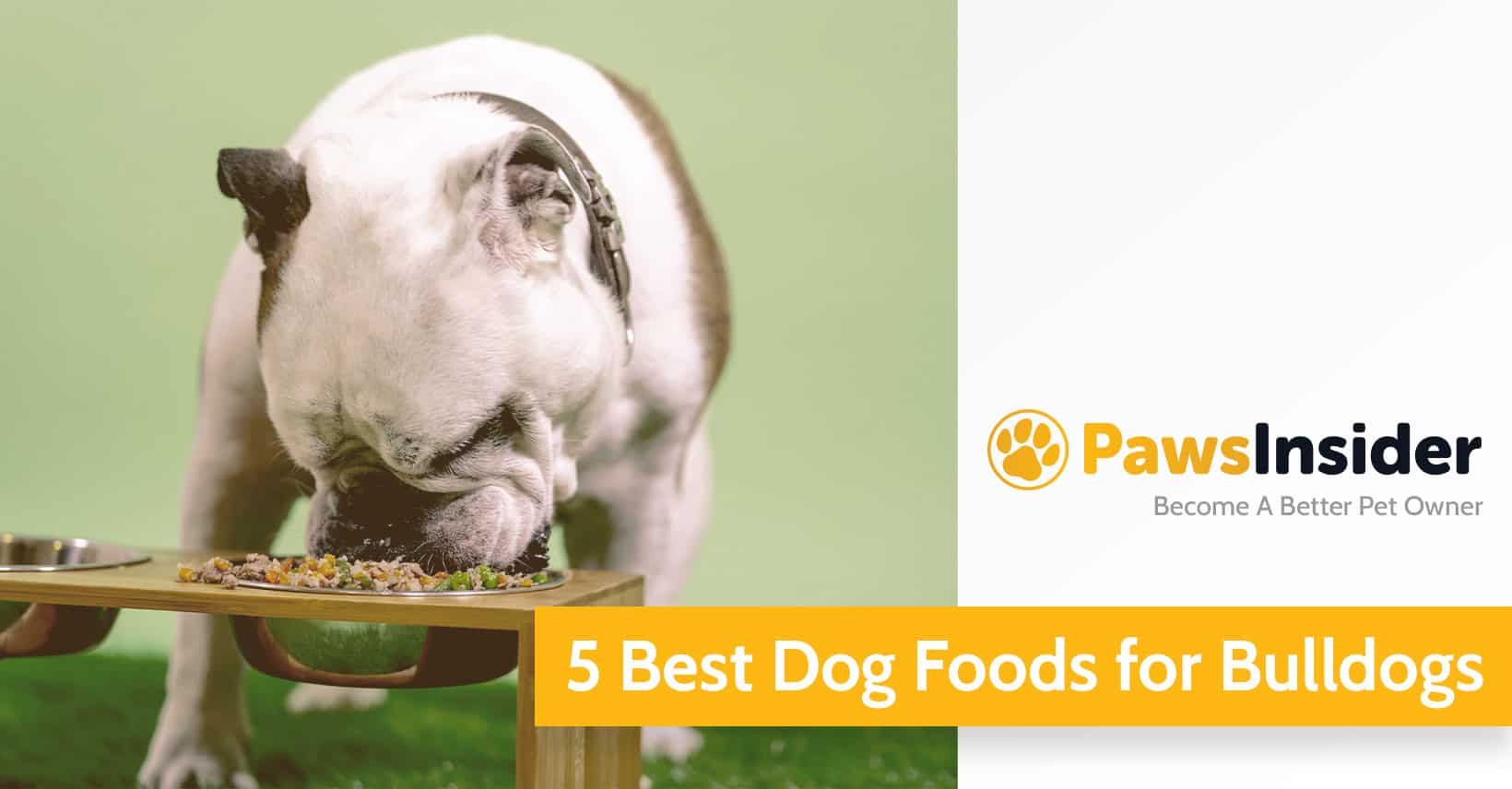 Best Dog Food For English Bulldogs | The Top 5 For 2025