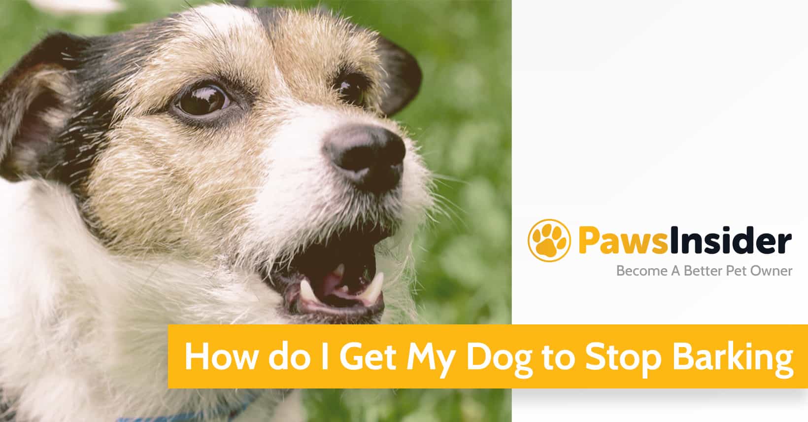 How To Stop A Dog From Barking Too Much: The Ultimate Guide