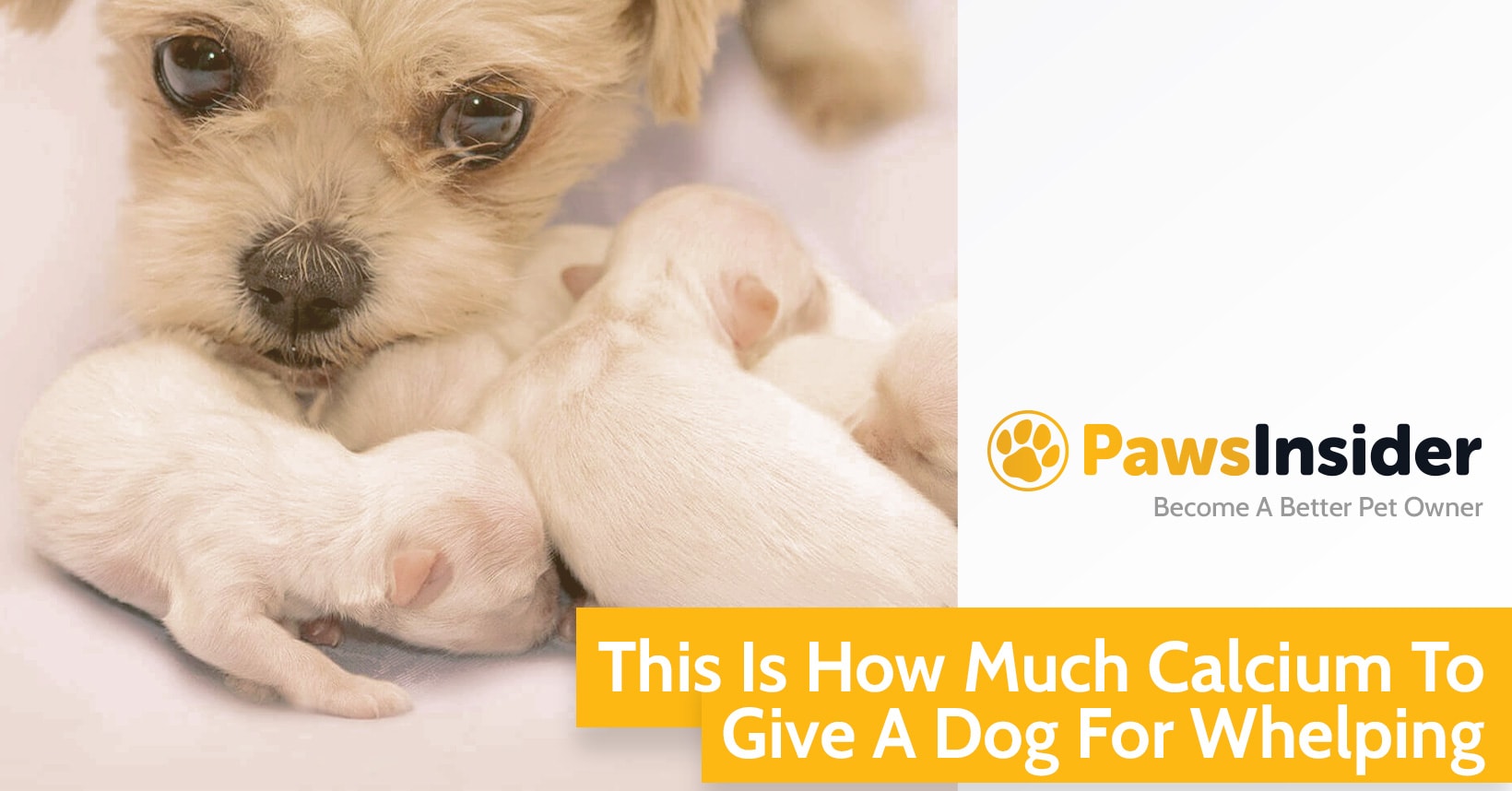 How Much Calcium Should My Puppy Get