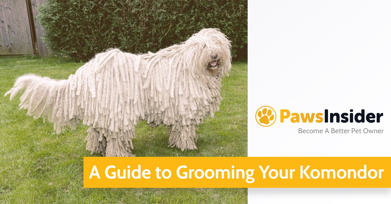 A Guide To Grooming Your Komondor // Paws Insider
