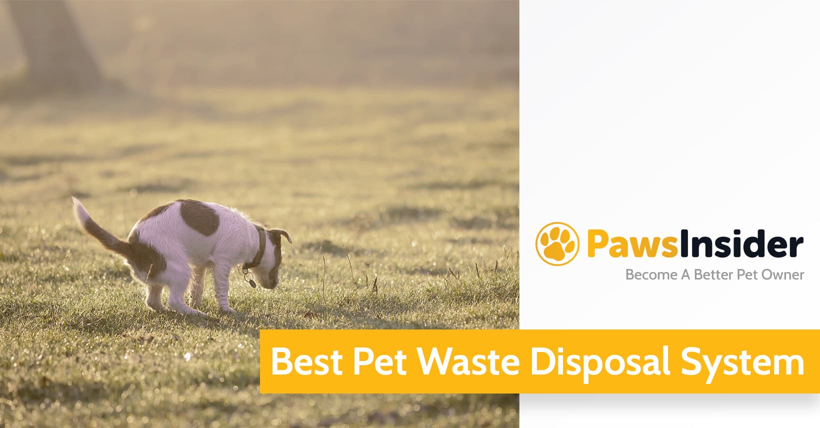 5 Best Pet Waste Disposal Systems (In & Above Ground) In 2025 // Paws ...