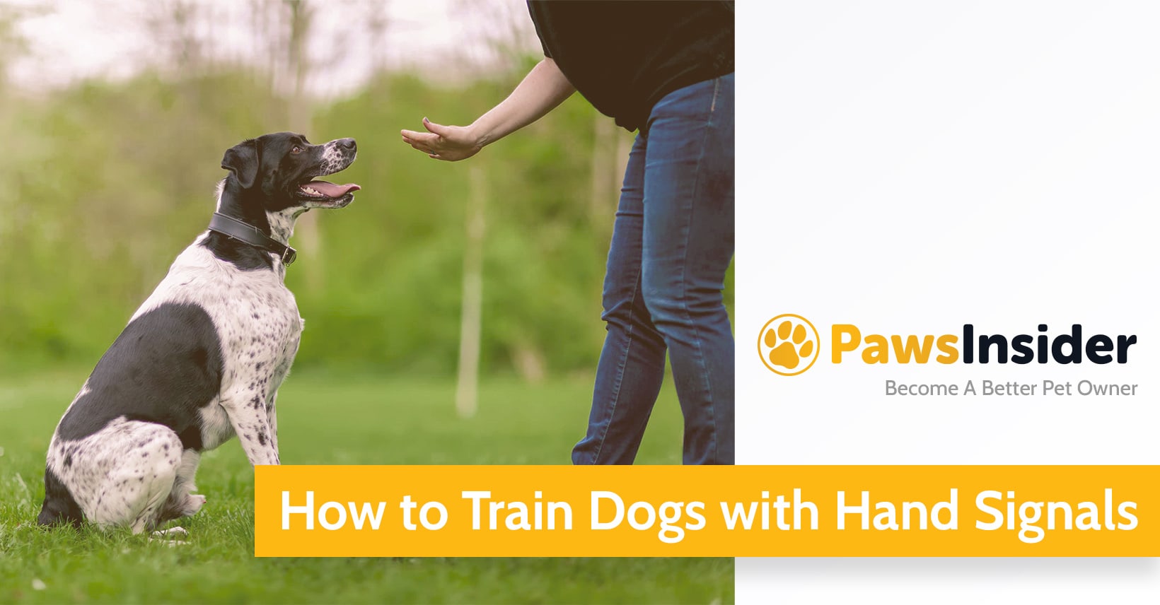 How To Train Dogs With Hand Signals // Paws Insider