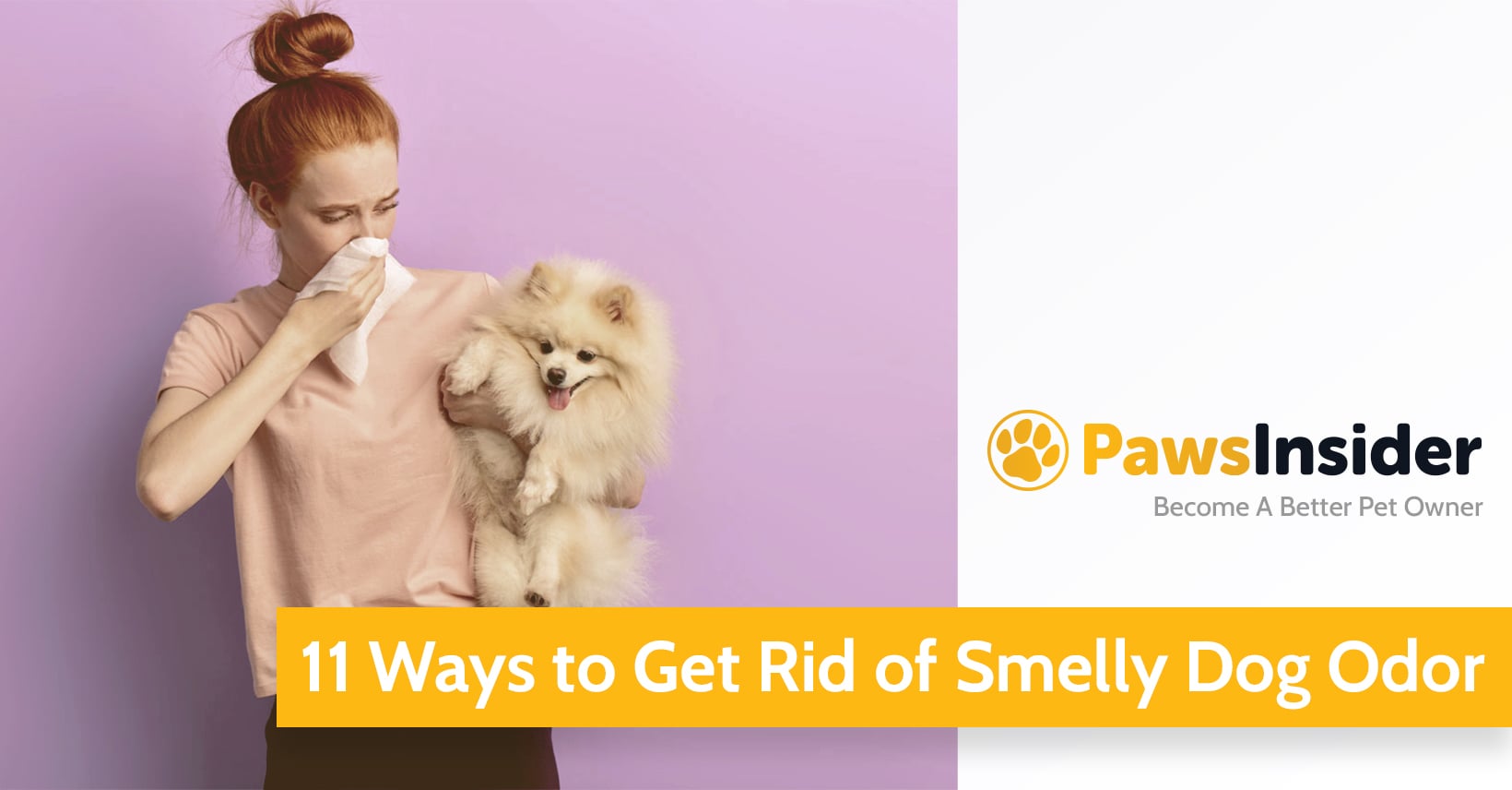 11 Ways To Get Rid Of Smelly Dog Odor // Paws Insider