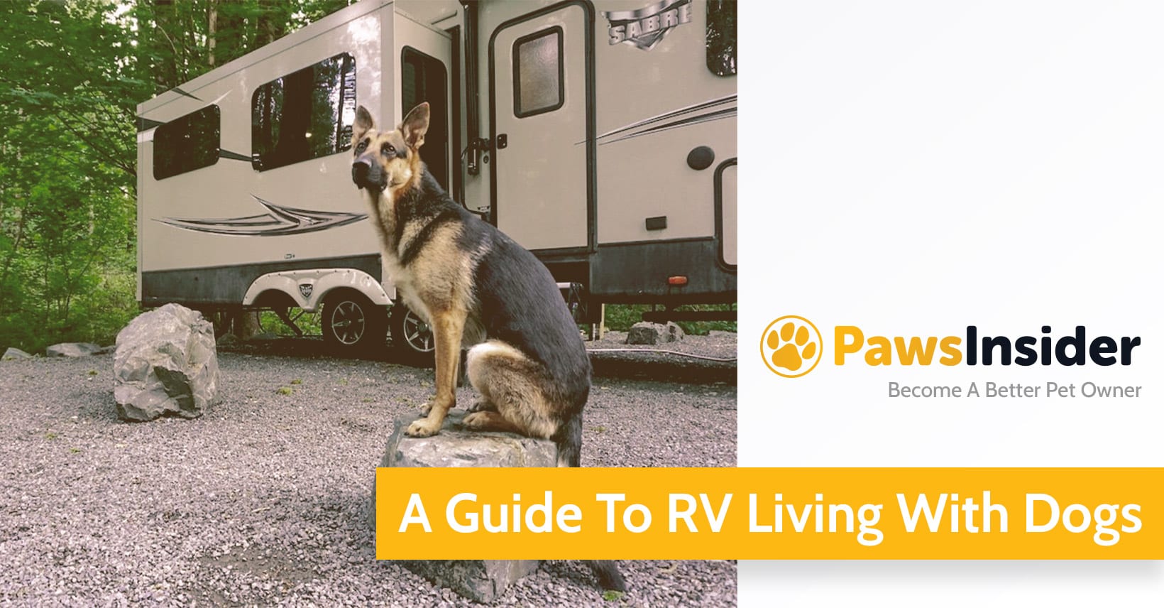 A Guide To RV Living With Dogs // Paws Insider