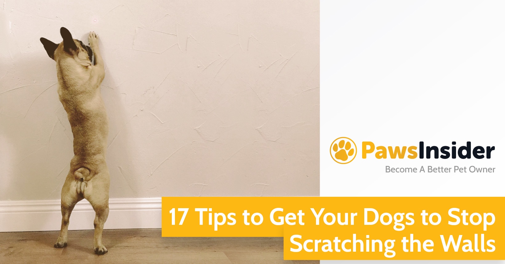 17 Tips To Get Your Dog To Stop Scratching The Walls // Paws Insider