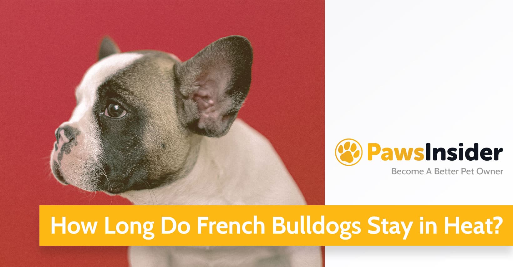 How Long Do French Bulldogs Stay In Heat For? Cycle, Tips & Signs ...