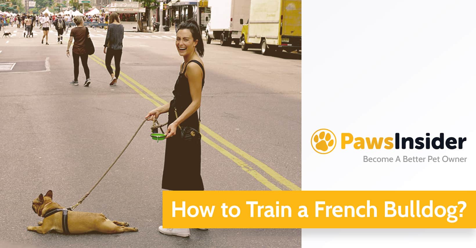 How To Train A French Bulldog: Quick & Easy Tips | Paws Insider