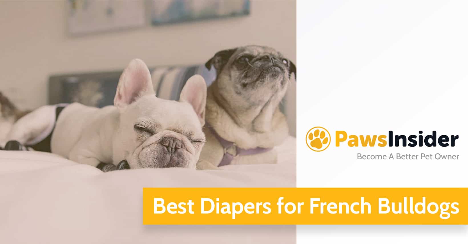 Best French Bulldog Diapers: Top 6 Picks For 2026
