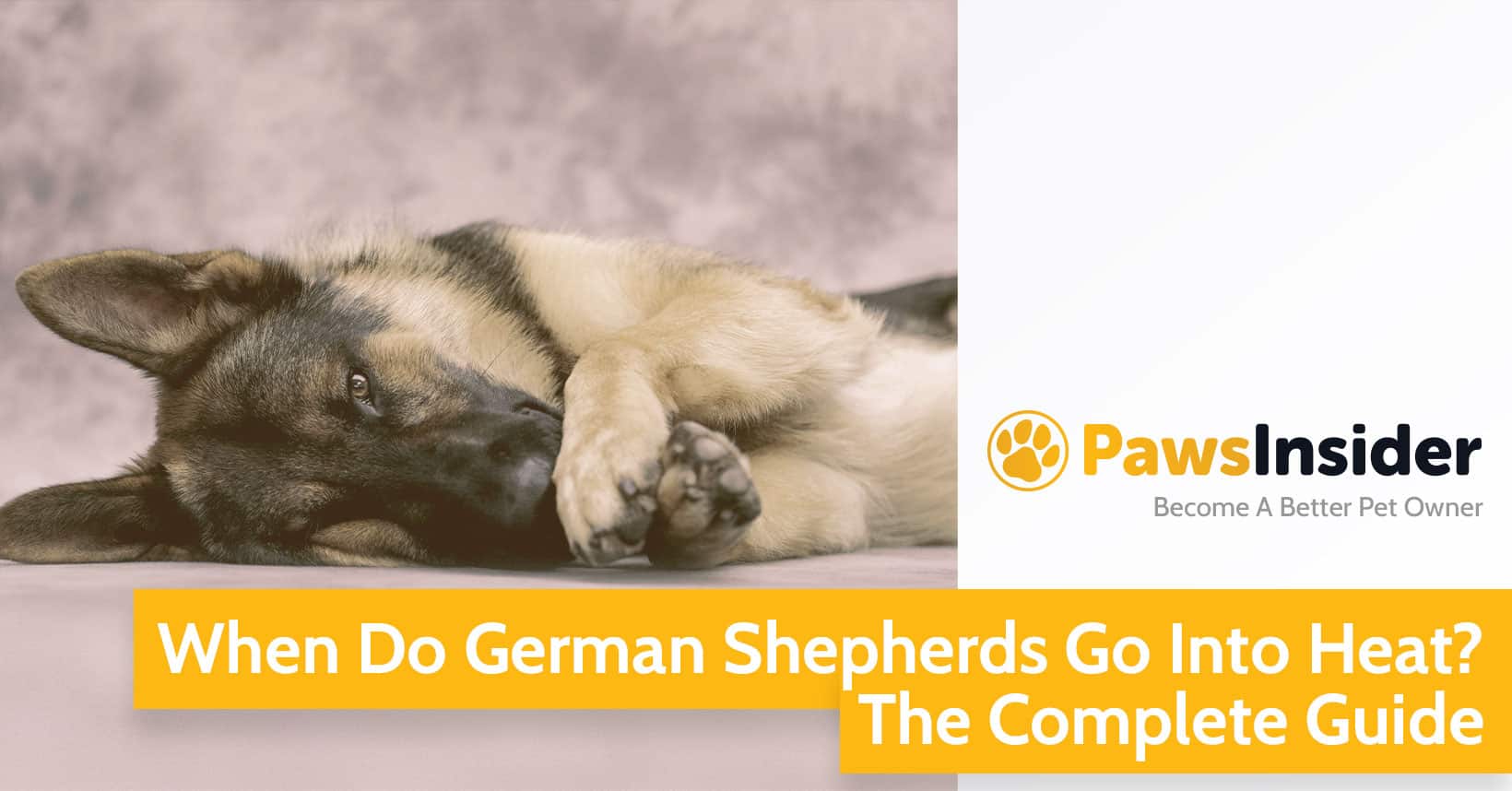 How Often Does A German Shepherd Go Into Heat