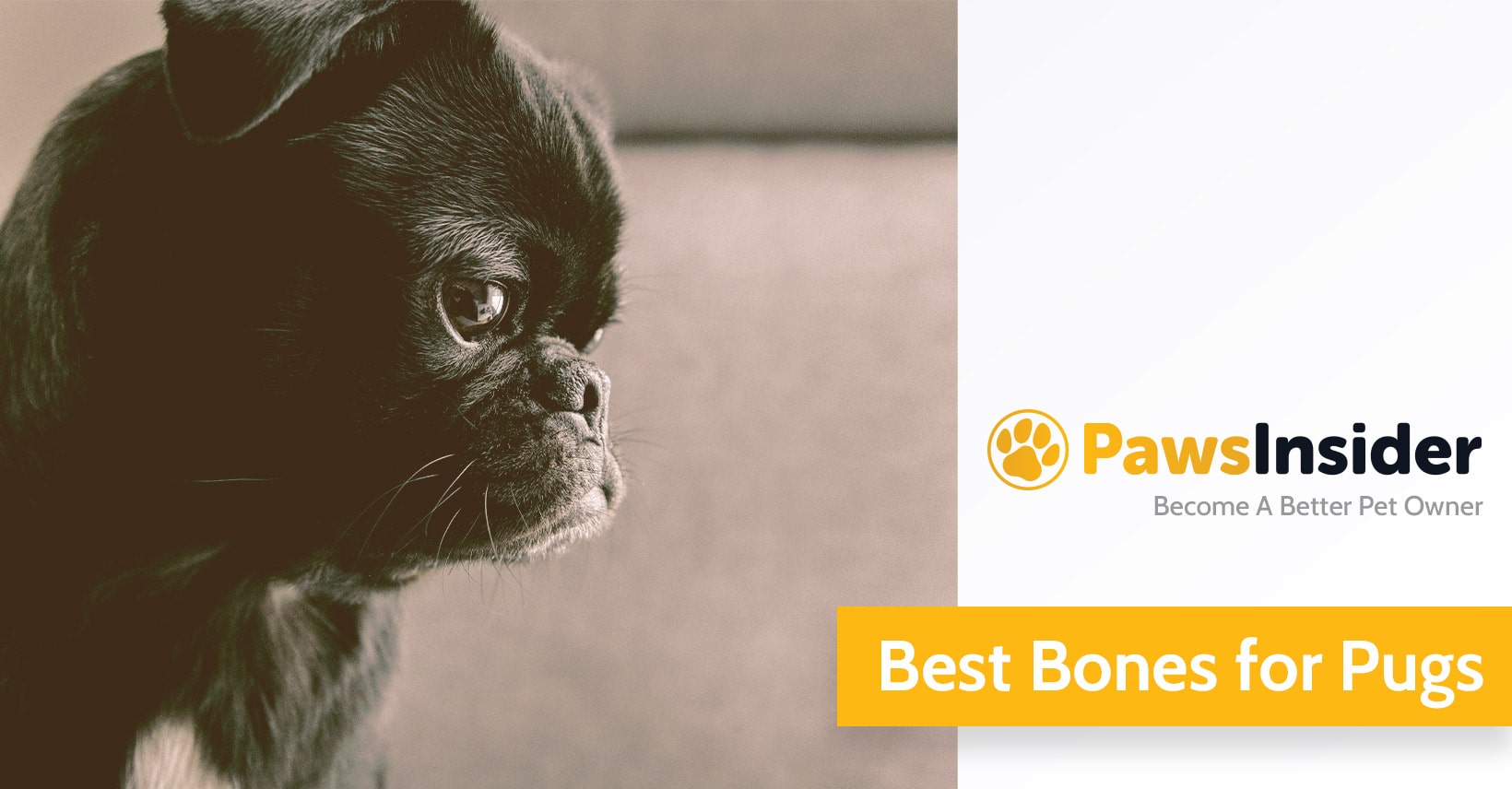 Best Bones For Pugs: Top 6 Picks For 2026 | Paws Insider